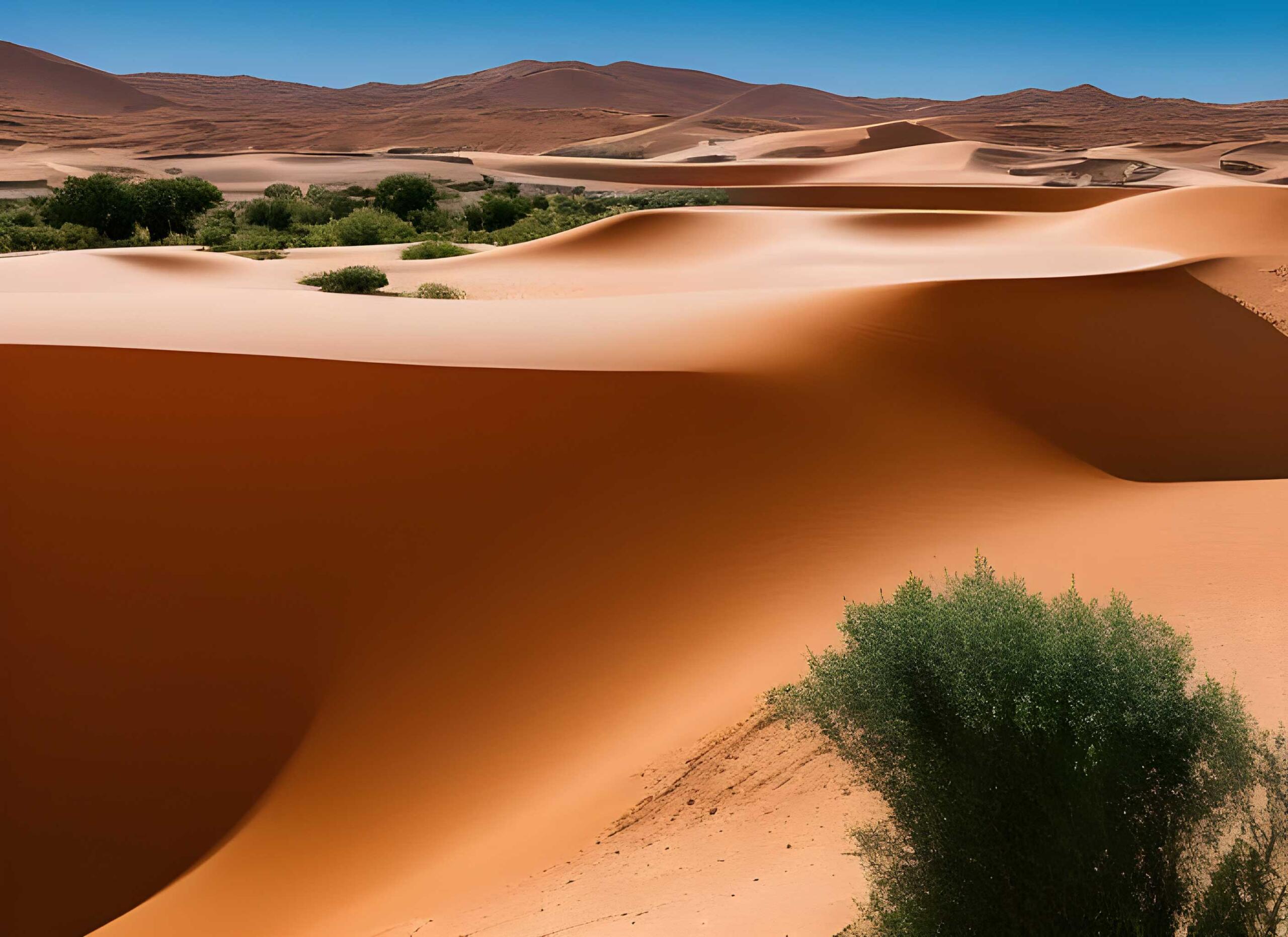 Comment découvrir la beauté des oasis autour de Marrakech